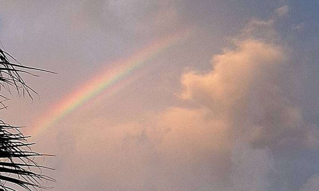 hsinfang – OCCDI Vlog