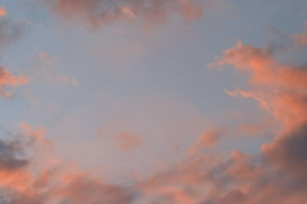 Littlestar_vlog – OCCDI Vlog