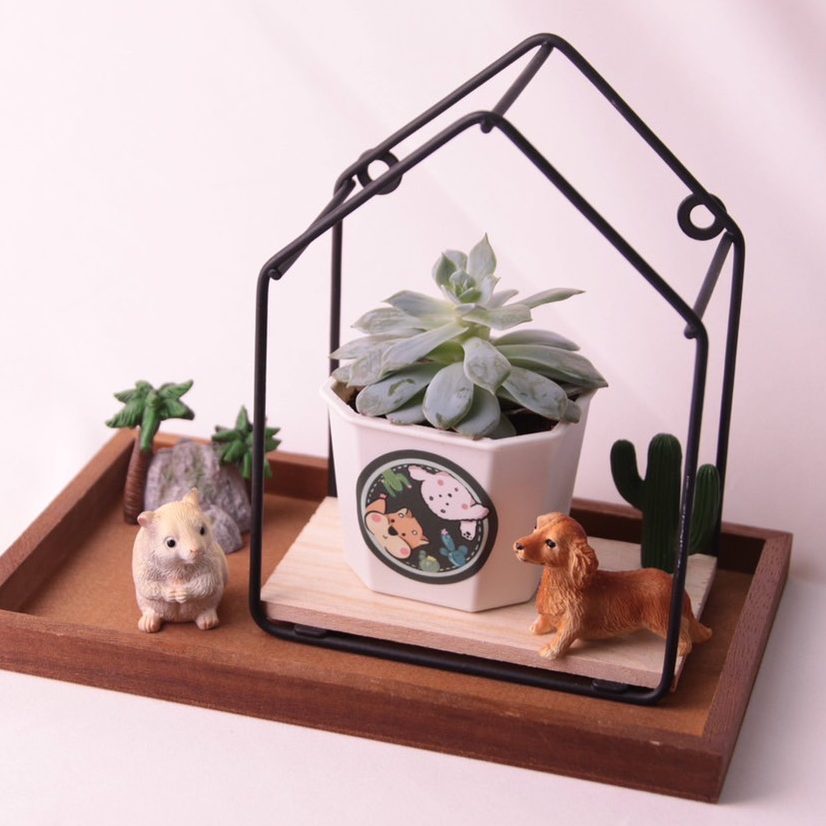 0119E015_About – OCCDI Vlog