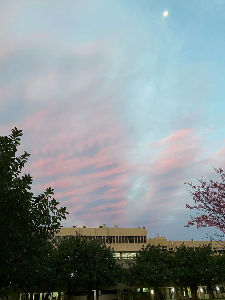 Wednesday – OCCDI Vlog